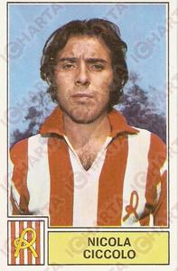 NICOLA CICCOLO:Ambidestro, buon colpitore da ogni posizione